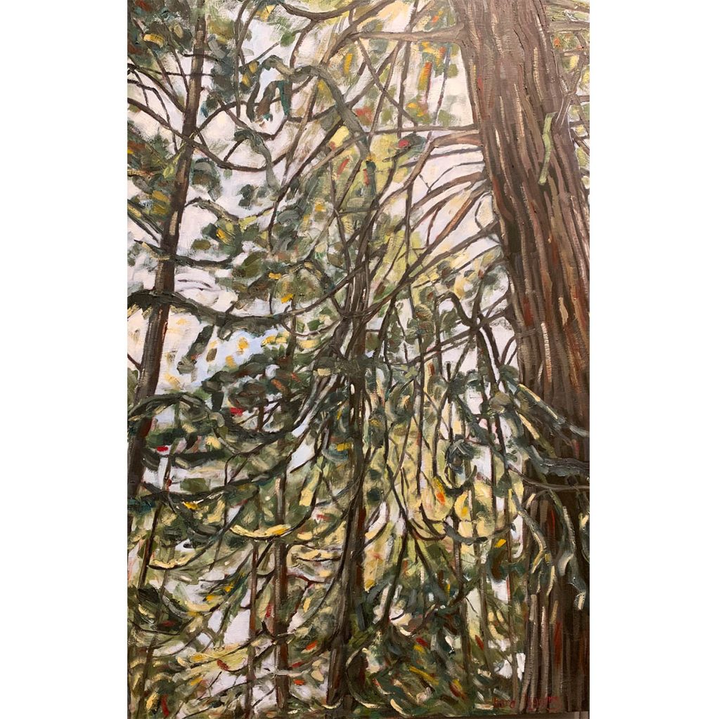 Landscape Oil Paintings | Tara Higgins | Fernie Artist