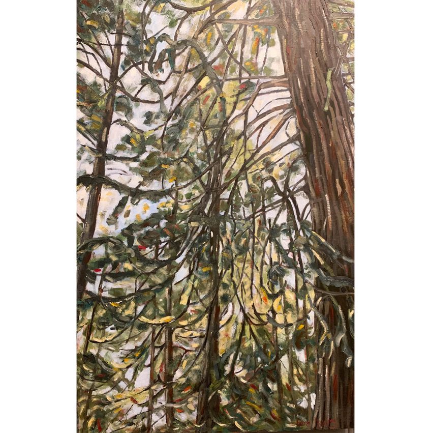 Landscape Oil Paintings | Tara Higgins | Fernie Artist