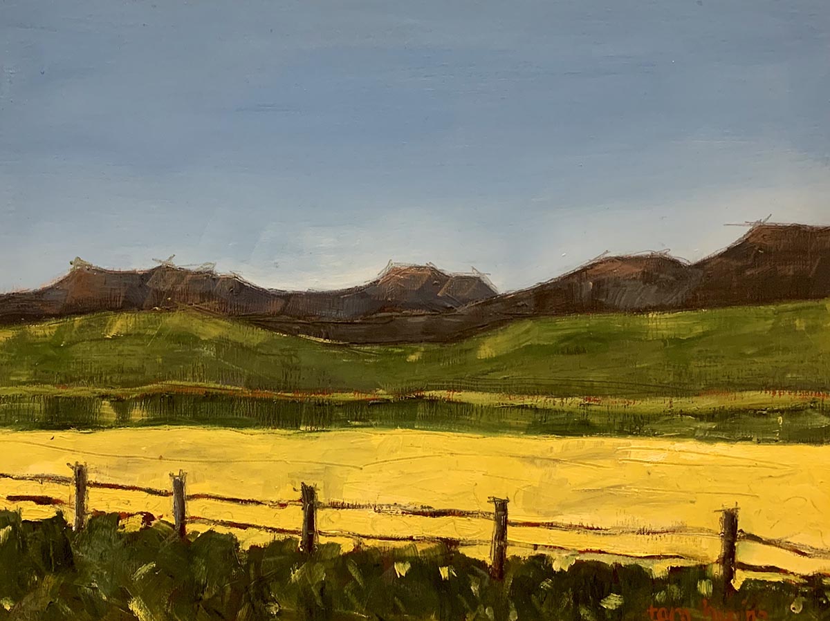 Tara Higgins - H Squared Gallery