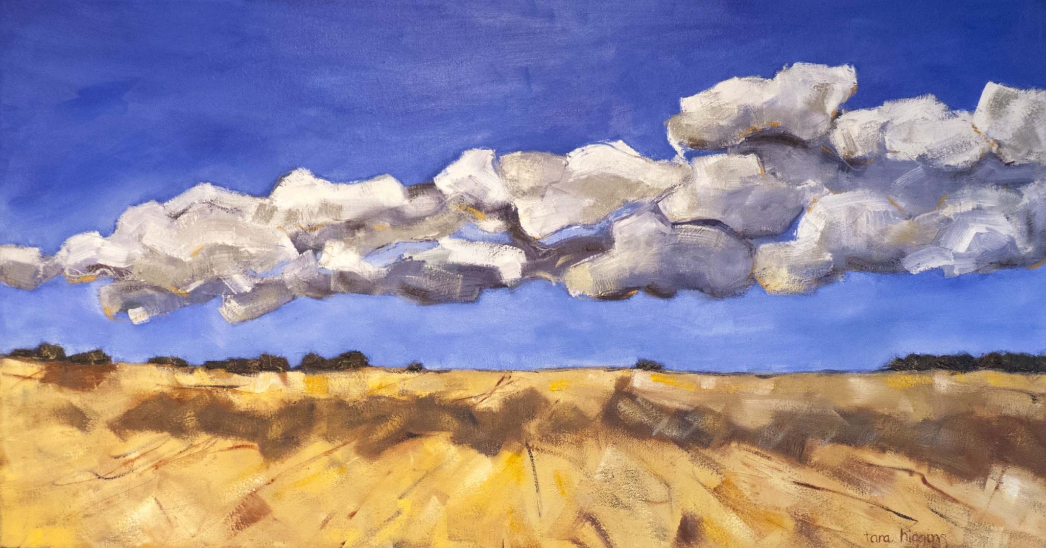 Landscape Oil Paintings | Tara Higgins | Fernie Artist