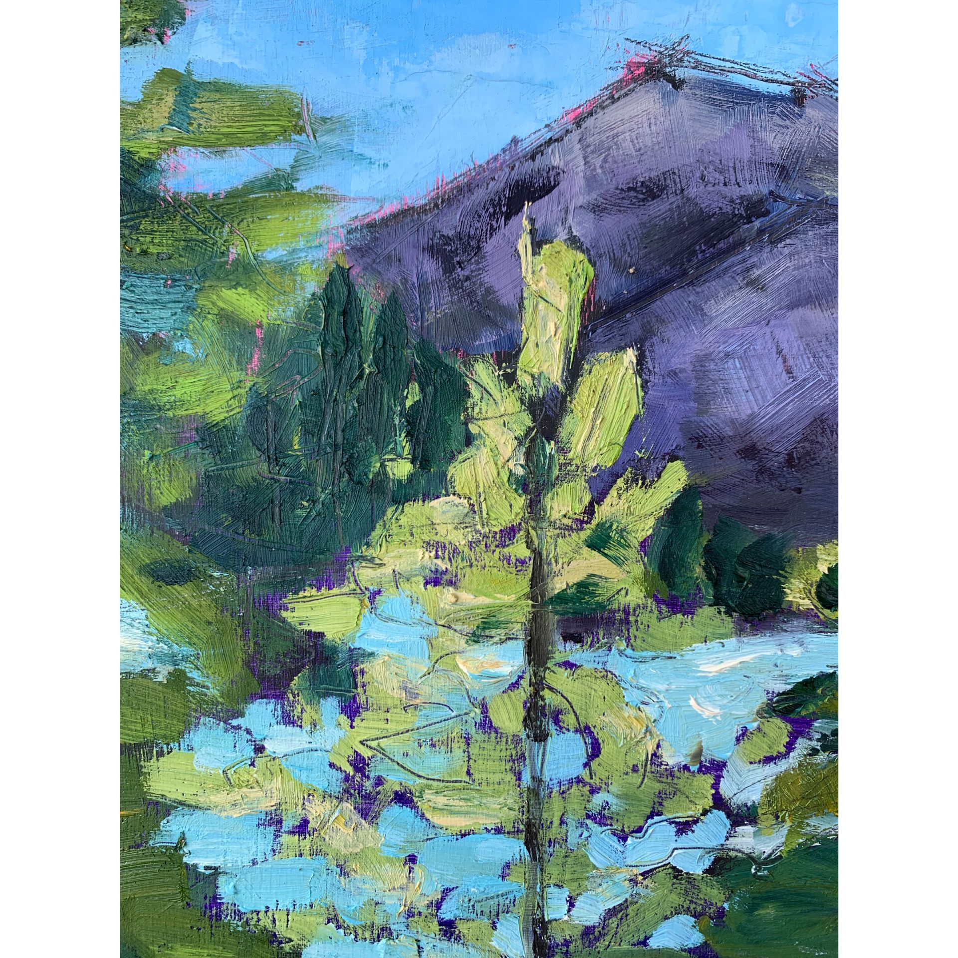 Landscape Oil Paintings | Tara Higgins | Fernie Artist