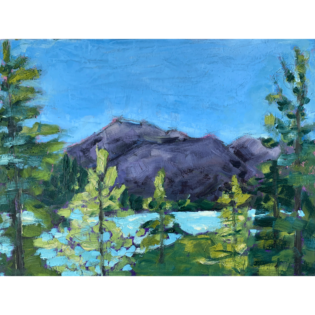 Landscape Oil Paintings | Tara Higgins | Fernie Artist